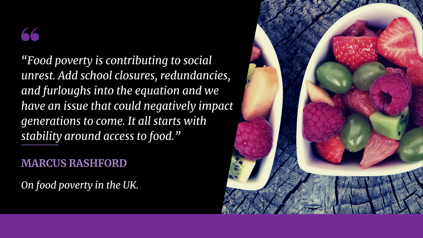 The impact of food poverty on society | part 1 – Purplexed Science